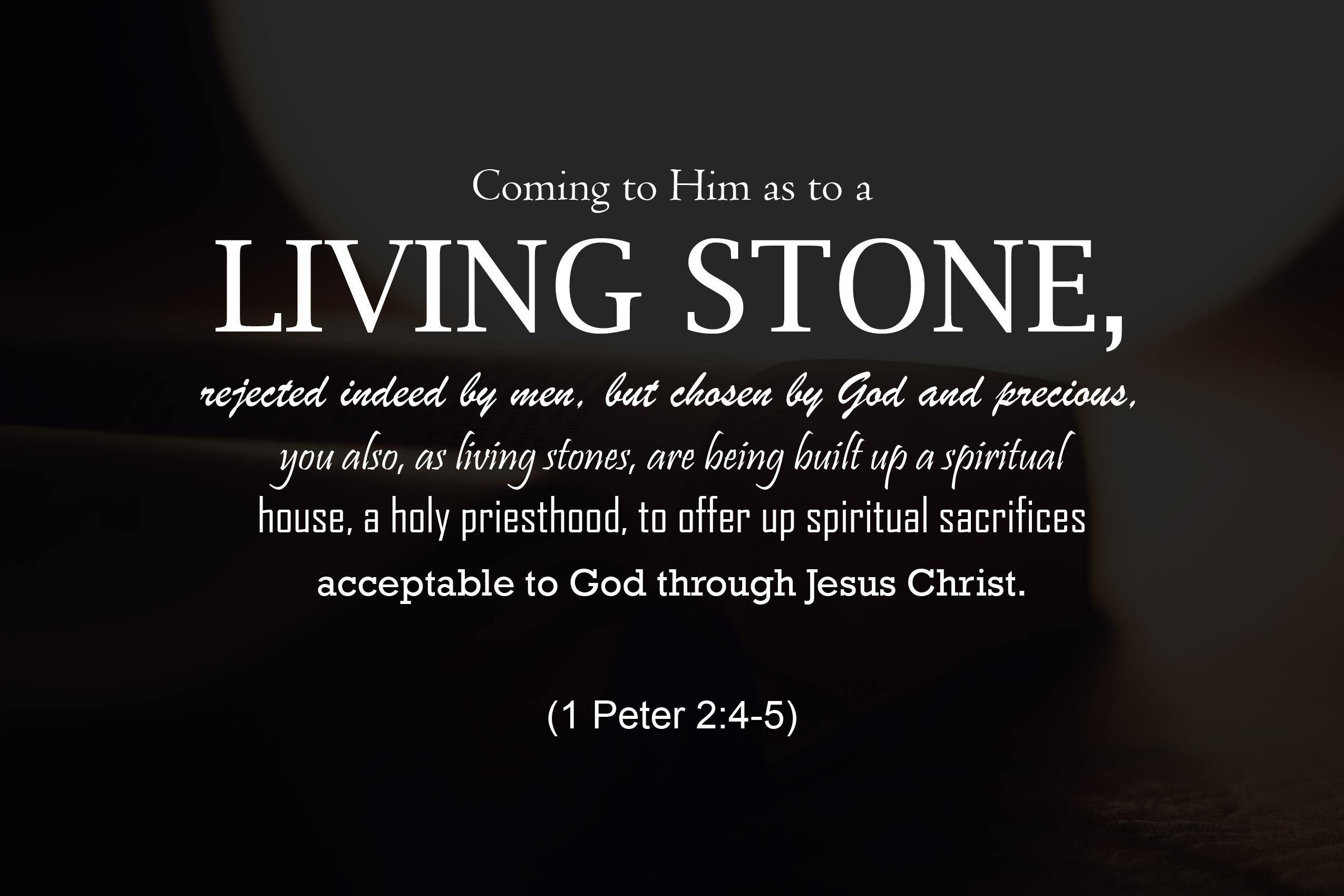 LIVING STONES